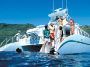 Ko Olina Sunset Snorkel Cruise with Casual Buffet Dinner & Cocktails ...