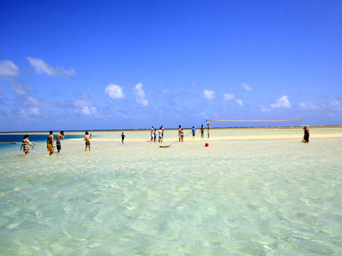 Kaneohe Bay Sandbar, Oahu tours & activities, fun things to do in Oahu ...