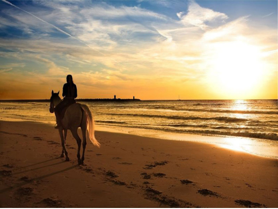 North Shore Romantic Beach Horseback Riding Tour, Oahu tours ...