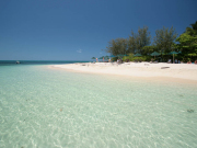 世界遺産 グリーン島クルーズ 滞在時間が選べる！ 1日ツアー by Great Adventures | ケアンズの観光・オプショナルツアー ...